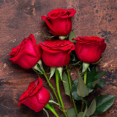 Ruusut - Pukinmäen puutarha